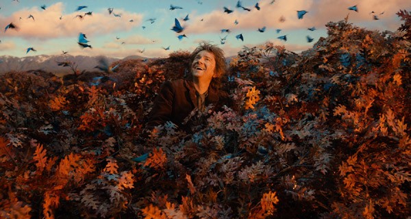 Le Hobbit 2 : La désolation de Smaug | Le Manège de Psylook
